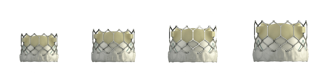 The PROGRESS Trial | Edwards Lifesciences