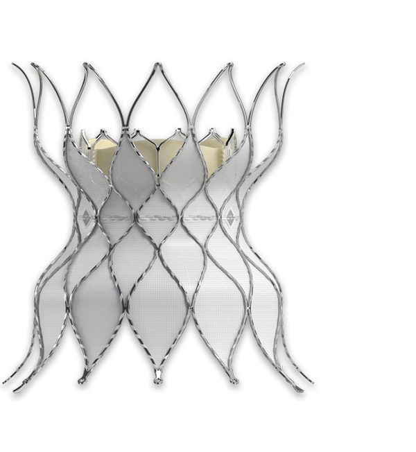 Transcatheter pulmonary valve replacement | Edwards Lifesciences