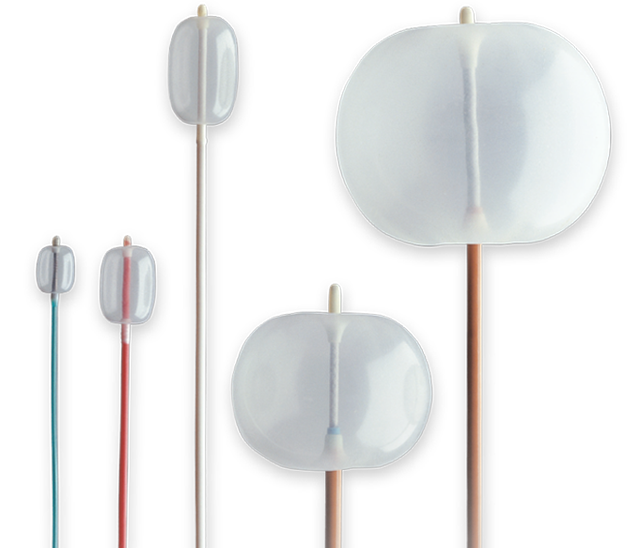 Cathéters pour occlusion | Edwards Lifesciences
