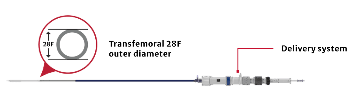 EVOQUE Tricuspid Valve Replacement | Edwards Lifesciences