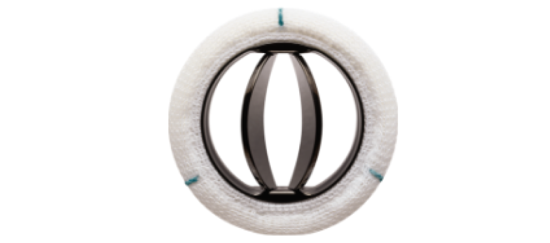 Valves options | Edwards Lifesciences