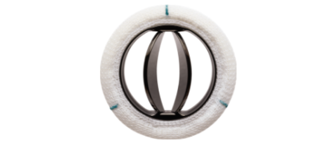 Valves options | Edwards Lifesciences