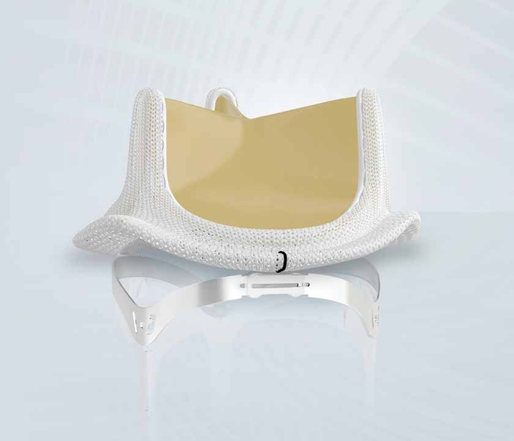 INSPIRIS RESILIA Aortic Valve | Edwards Lifesciences