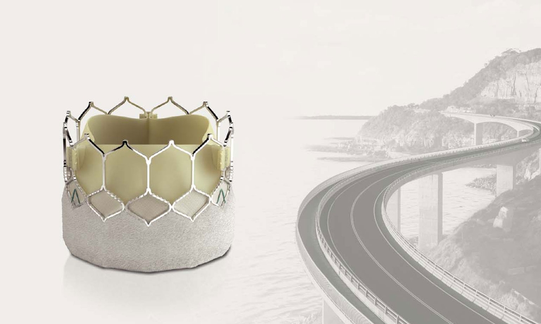 Transcatheter Aortic Valve Replacement | Edwards Lifesciences