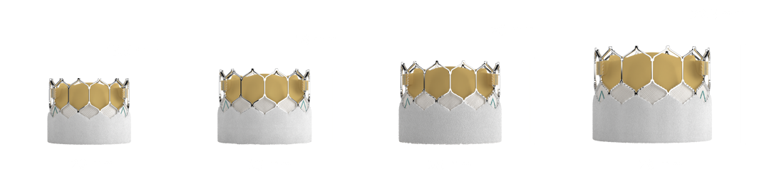 The PROGRESS Trial | Edwards Lifesciences