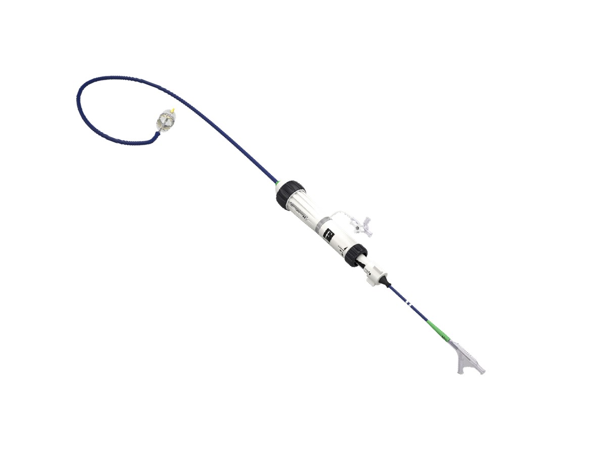 経カテーテル肺動脈弁治療(TPVI) | Edwards Lifesciences