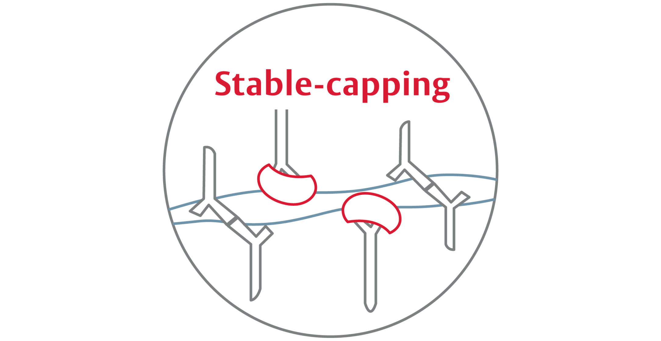 COMMENCE 7-Year Trial | Edwards Lifesciences