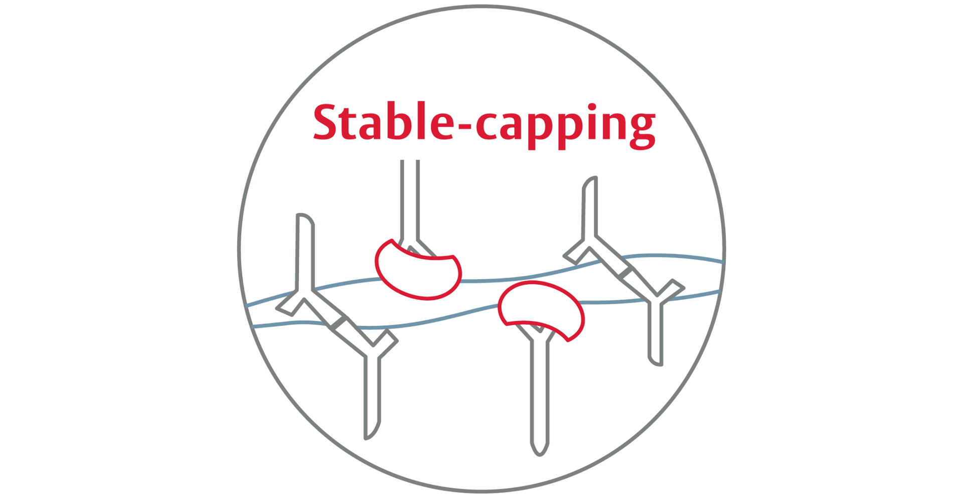 COMMENCE 7-Year Trial | Edwards Lifesciences