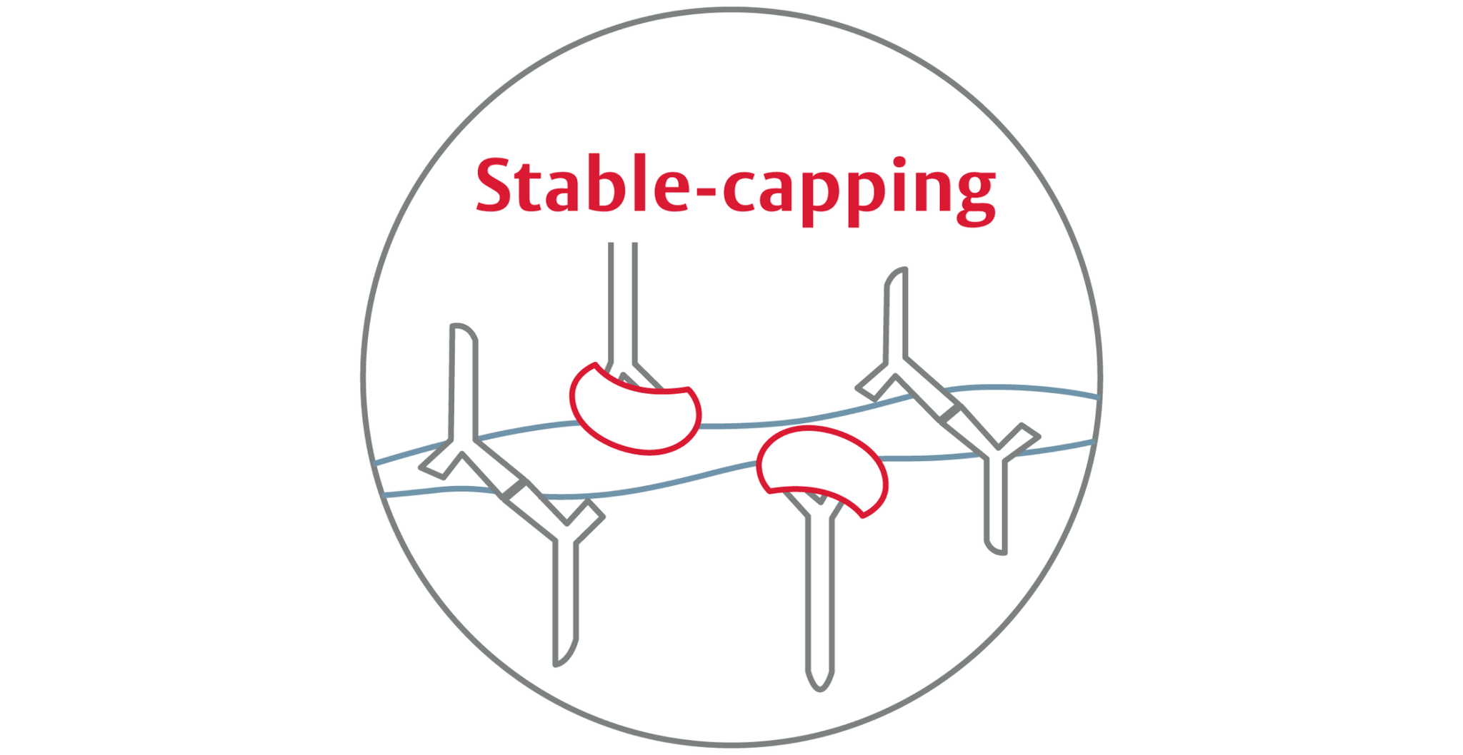 COMMENCE 7-Year Trial | Edwards Lifesciences