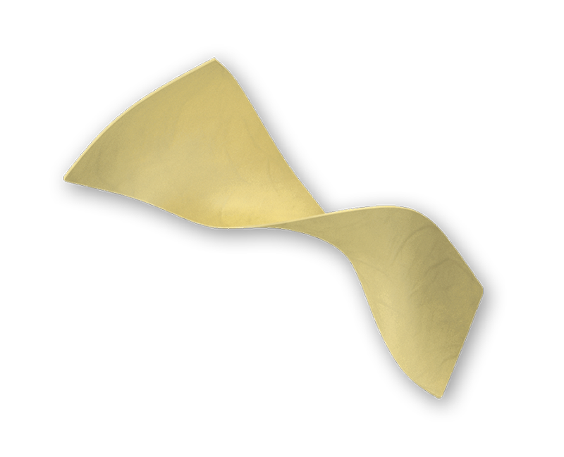 Bovine Pericardial Patch | Edwards Lifesciences