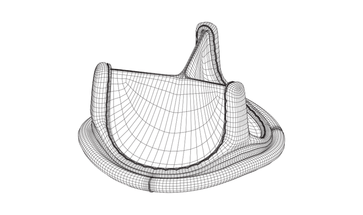 Surgical aortic pericardial valves | Edwards Lifesciences
