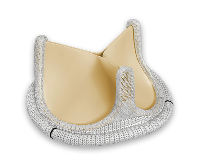 Surgical aortic pericardial valves | Edwards Lifesciences
