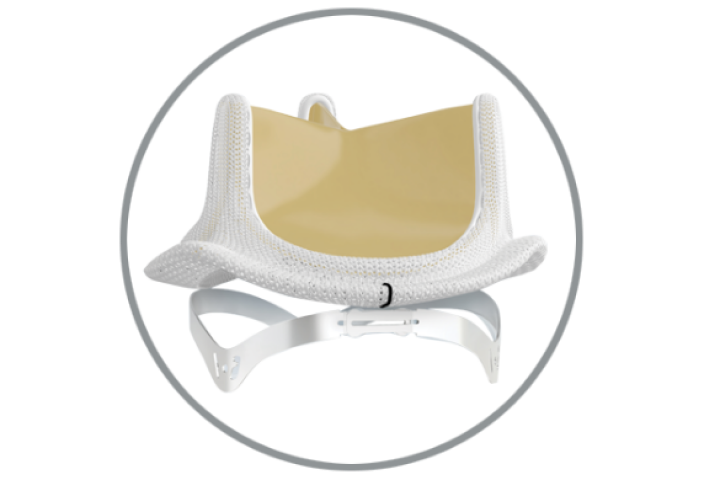 RESILIA tissue | Edwards Lifesciences