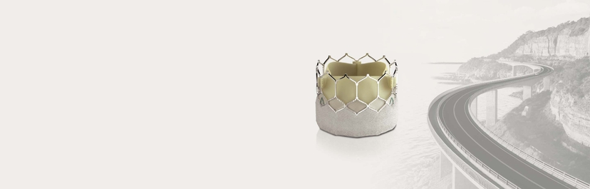 Transcatheter Aortic Valve Replacement | Edwards Lifesciences