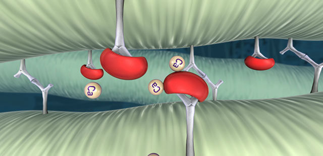 RESILIA Newsroom | Edwards Lifesciences