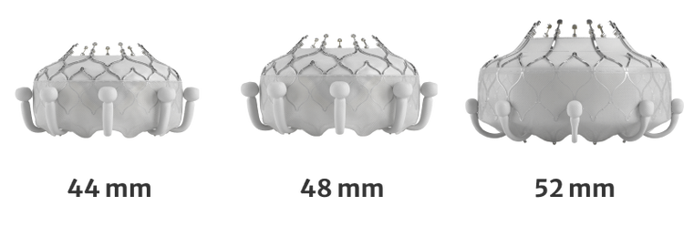 EVOQUE Tricuspid Valve Replacement | Edwards Lifesciences