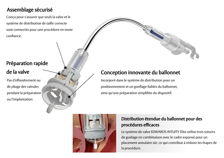 Système de valve Edwards Intuity Elite | Edwards Lifesciences