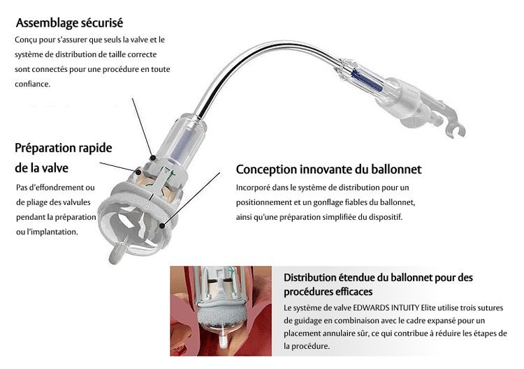 Système de valve Edwards Intuity Elite | Edwards Lifesciences