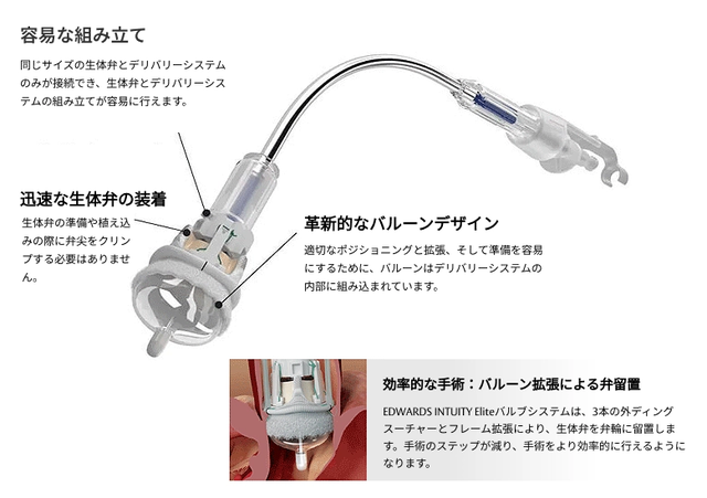 EDWARDS INTUITY Elite バルブシステム | Edwards Lifesciences