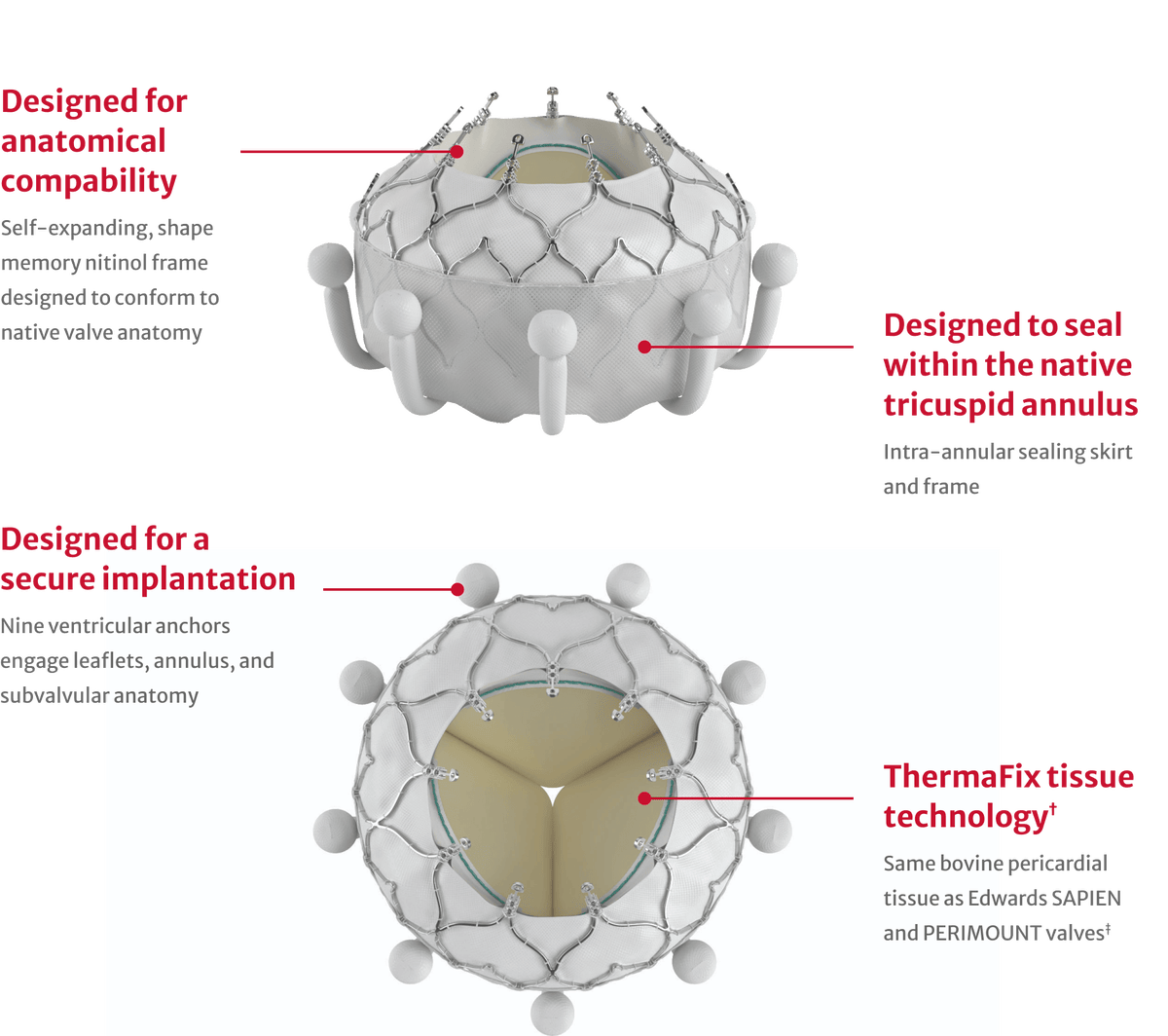 EVOQUE Tricuspid Valve Replacement | Edwards Lifesciences