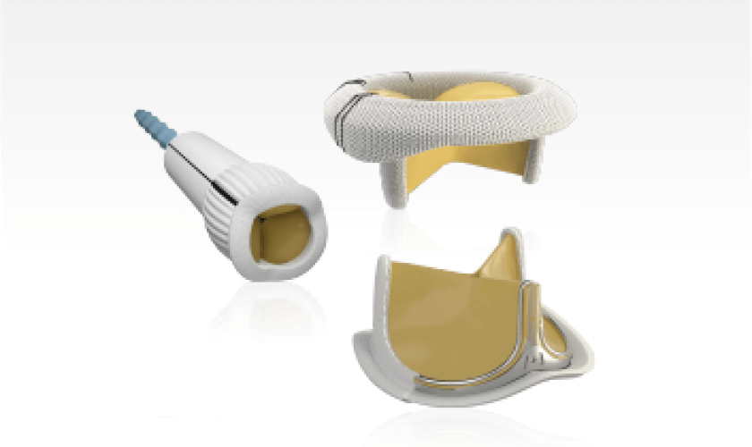 A critical decision | Edwards Lifesciences