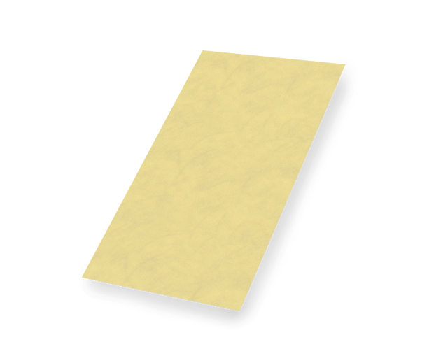 Bovine Pericardial Patch | Edwards Lifesciences