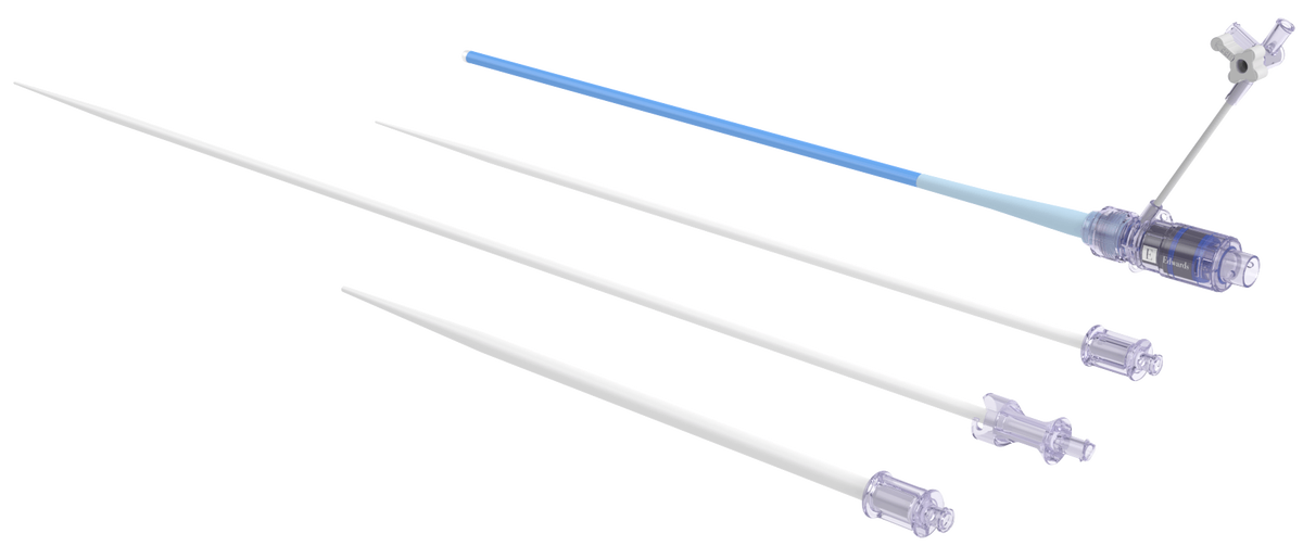 Transcatheter SAPIEN 3 | Edwards Lifesciences