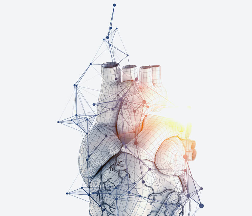 Cardiovascular Innovation Fellowship | Edwards Lifesciences