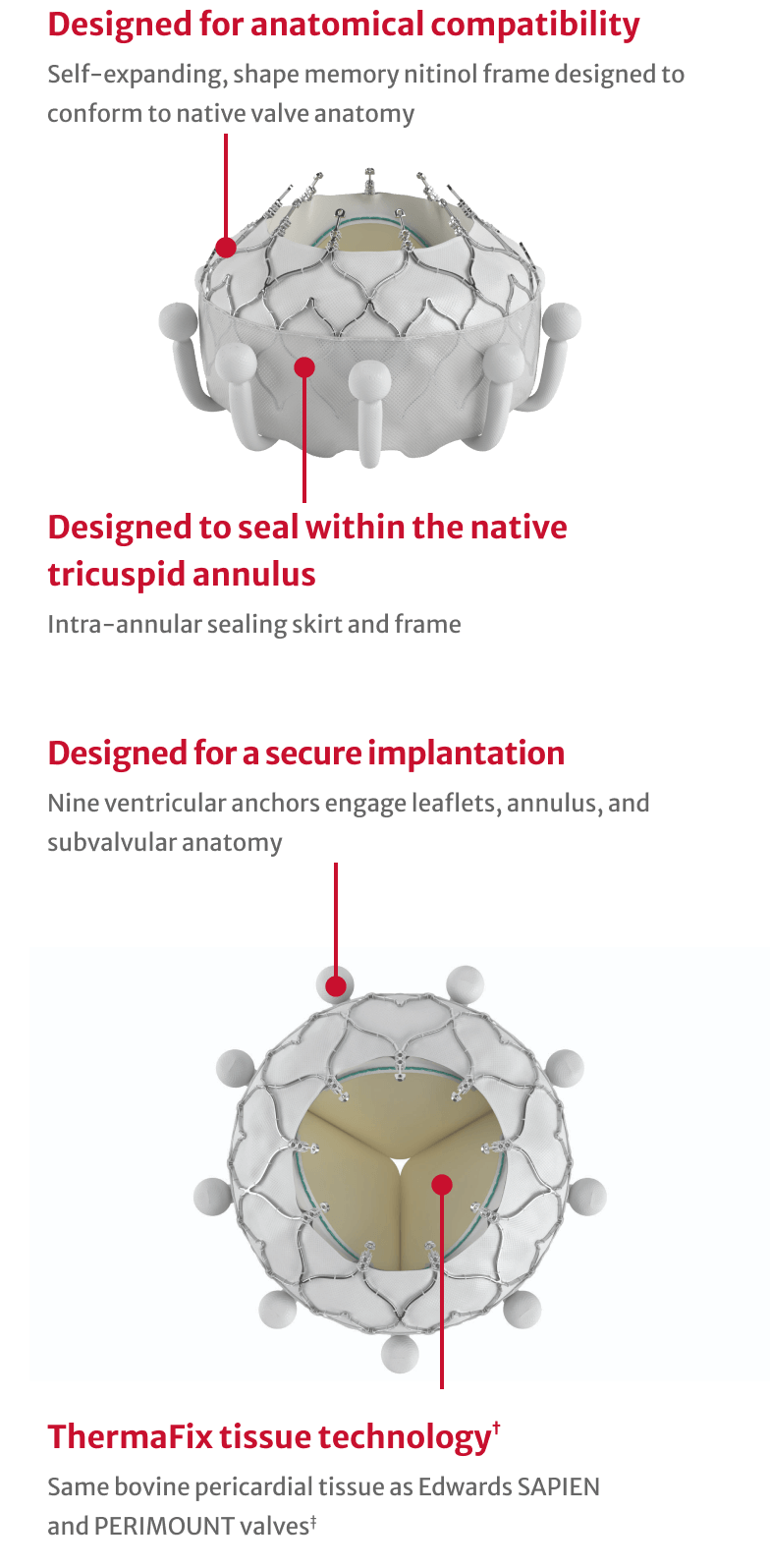 EVOQUE Tricuspid Valve Replacement | Edwards Lifesciences