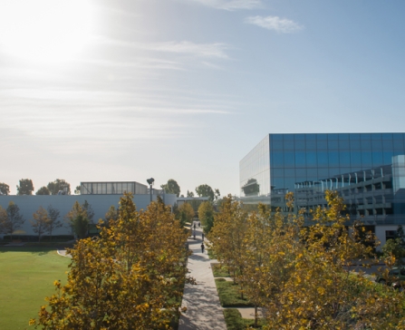 Careers | Edwards Lifesciences