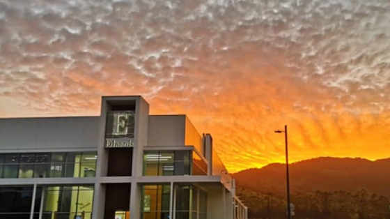 Costa Rica | Edwards Lifesciences