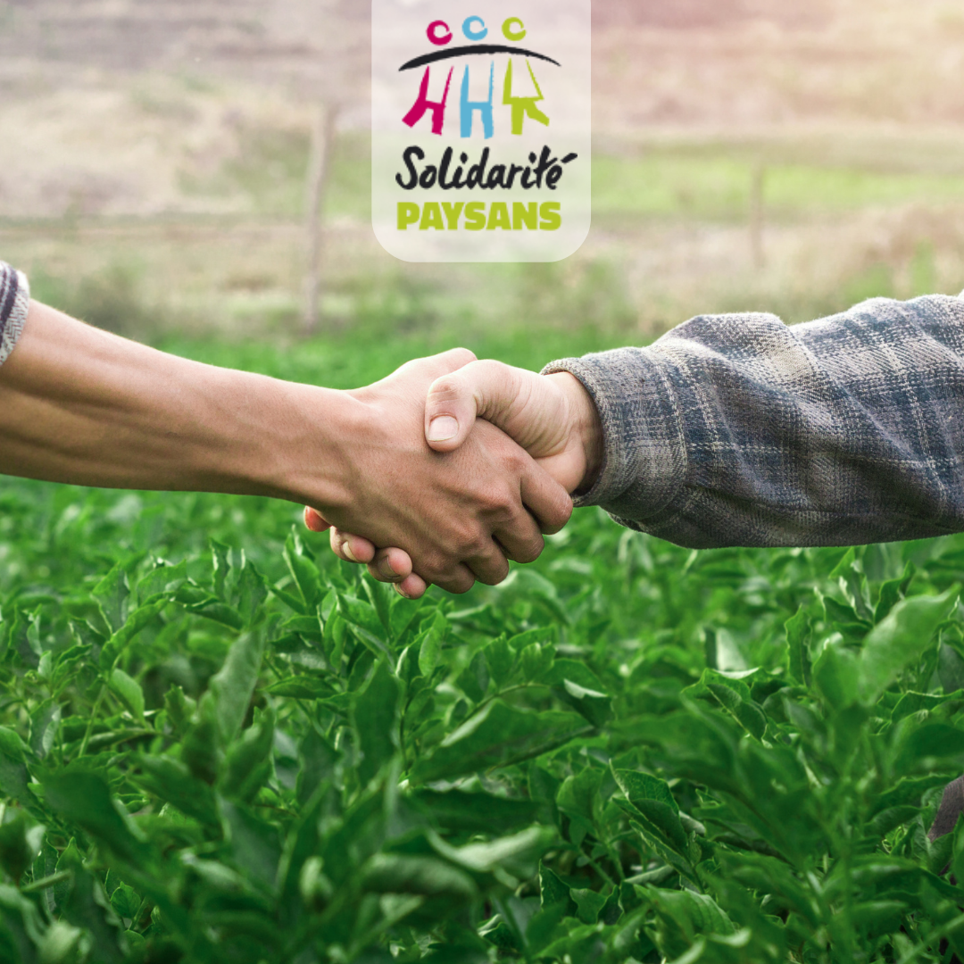 Pièces détachées pour l'Agriculture et la Motoculture - Kramp