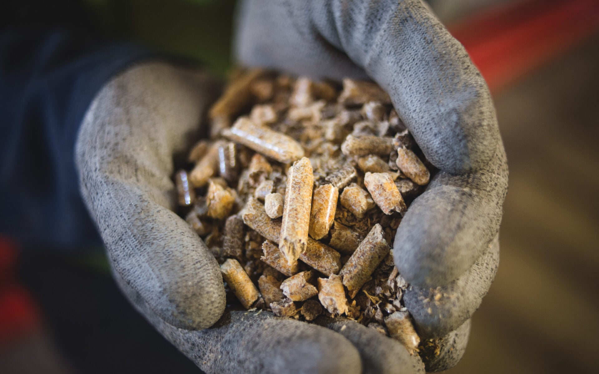 Elimini bets on long-game with BECCS projects