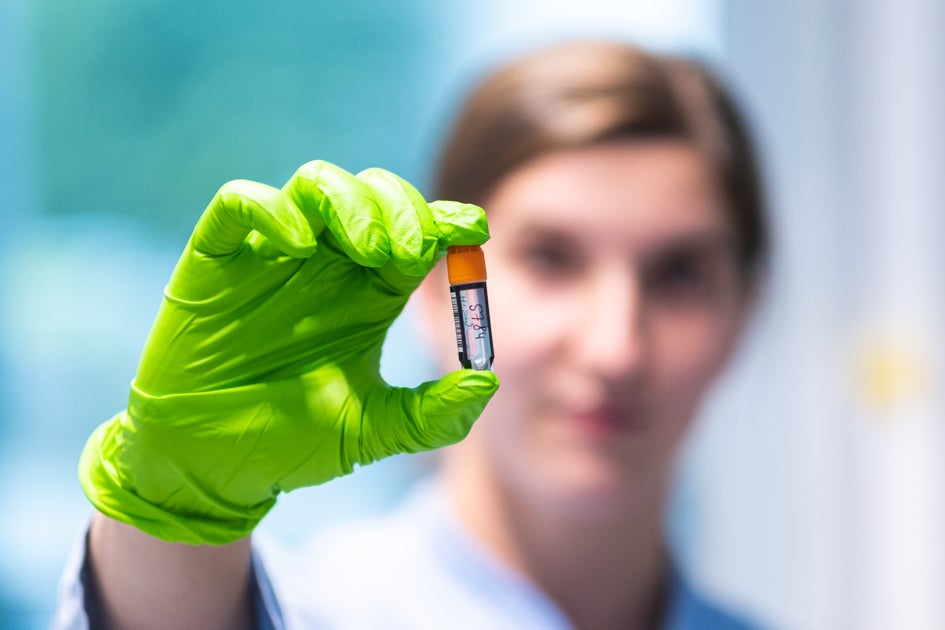 Fighting blood cancer on every level: science and research