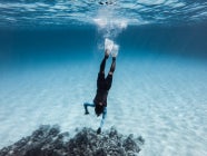 How To Perform Deep dives Into Your Business 5 Real life Examples How To Perform Deep dives Into Your Business 5 Real life Examples
