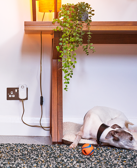 Smart Home | Hive Systems & Smart Meters | Bord Gáis Energy