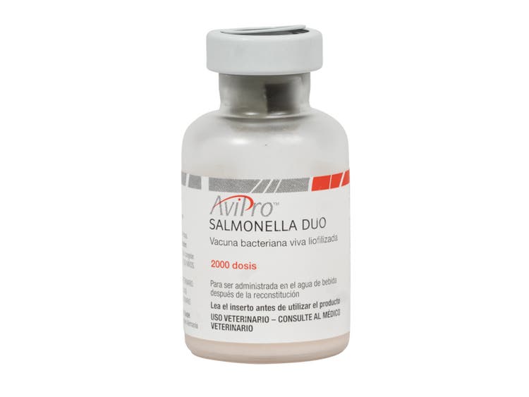 Directorio de productos avícolas | Elanco Animales de Granja