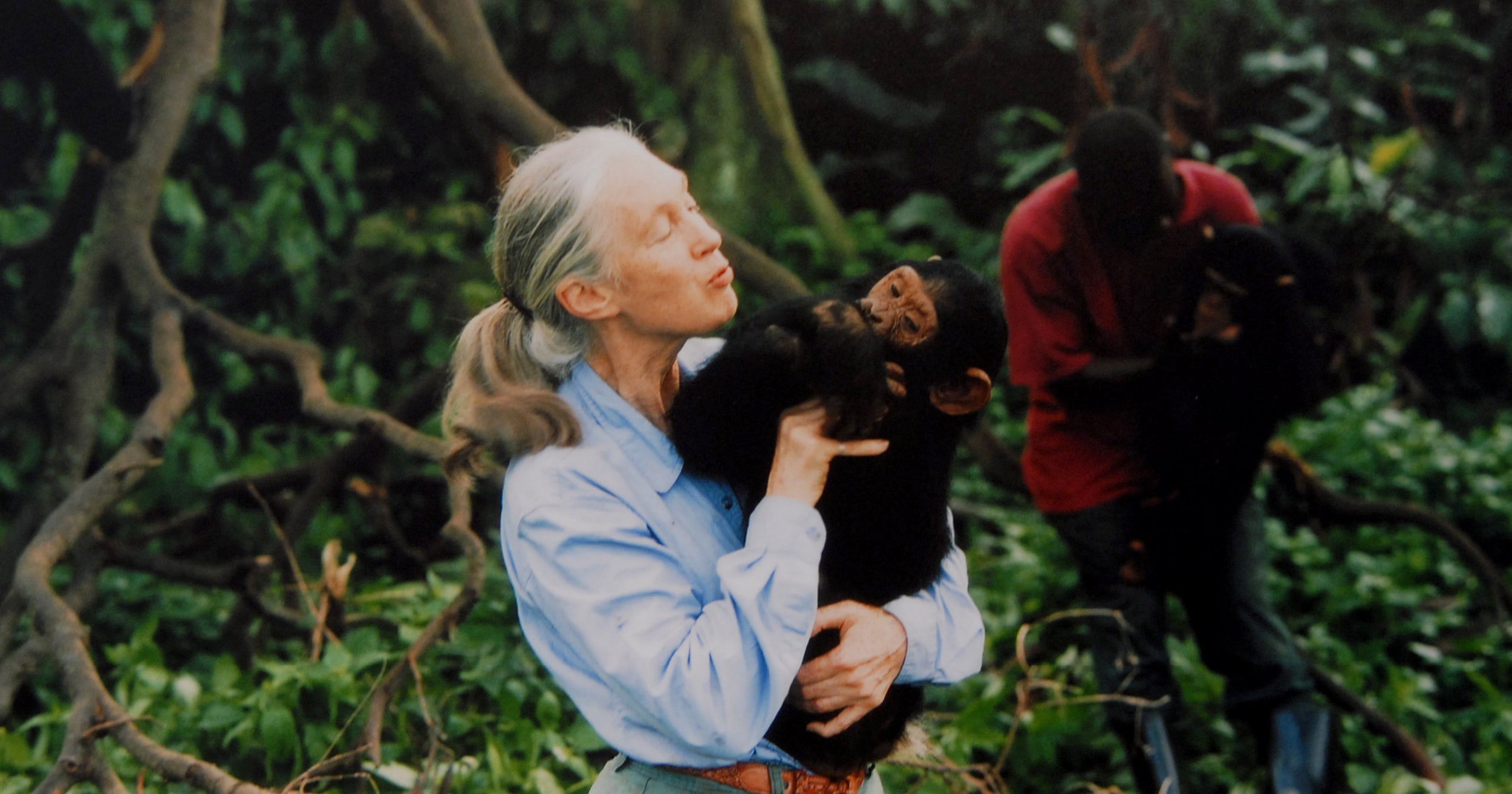 Devět životních lekcí od Jane Goodall, legendární primatoložky, která ...