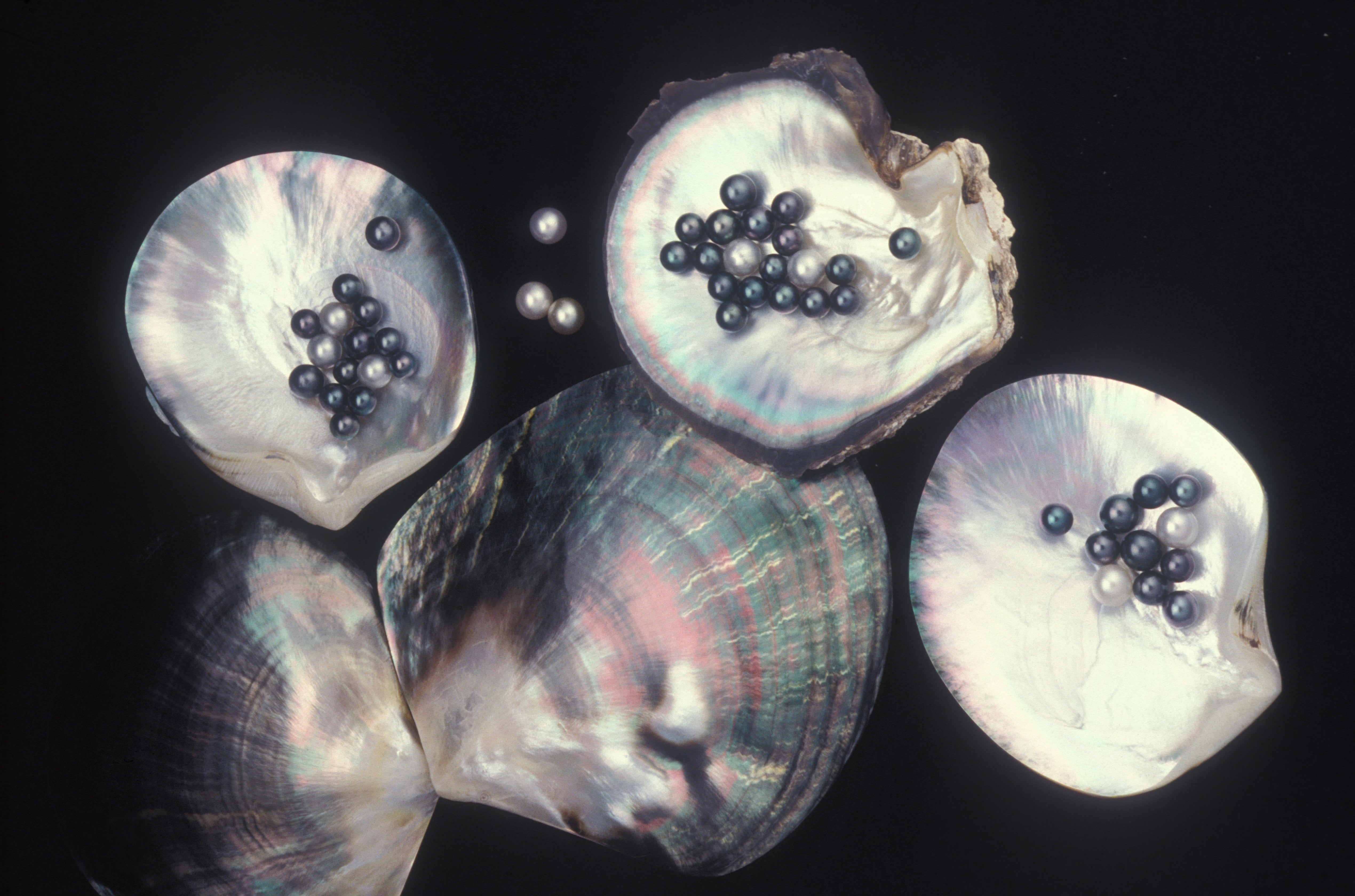 5 značek, které přinášejí nový pohled na perly | Vogue CS