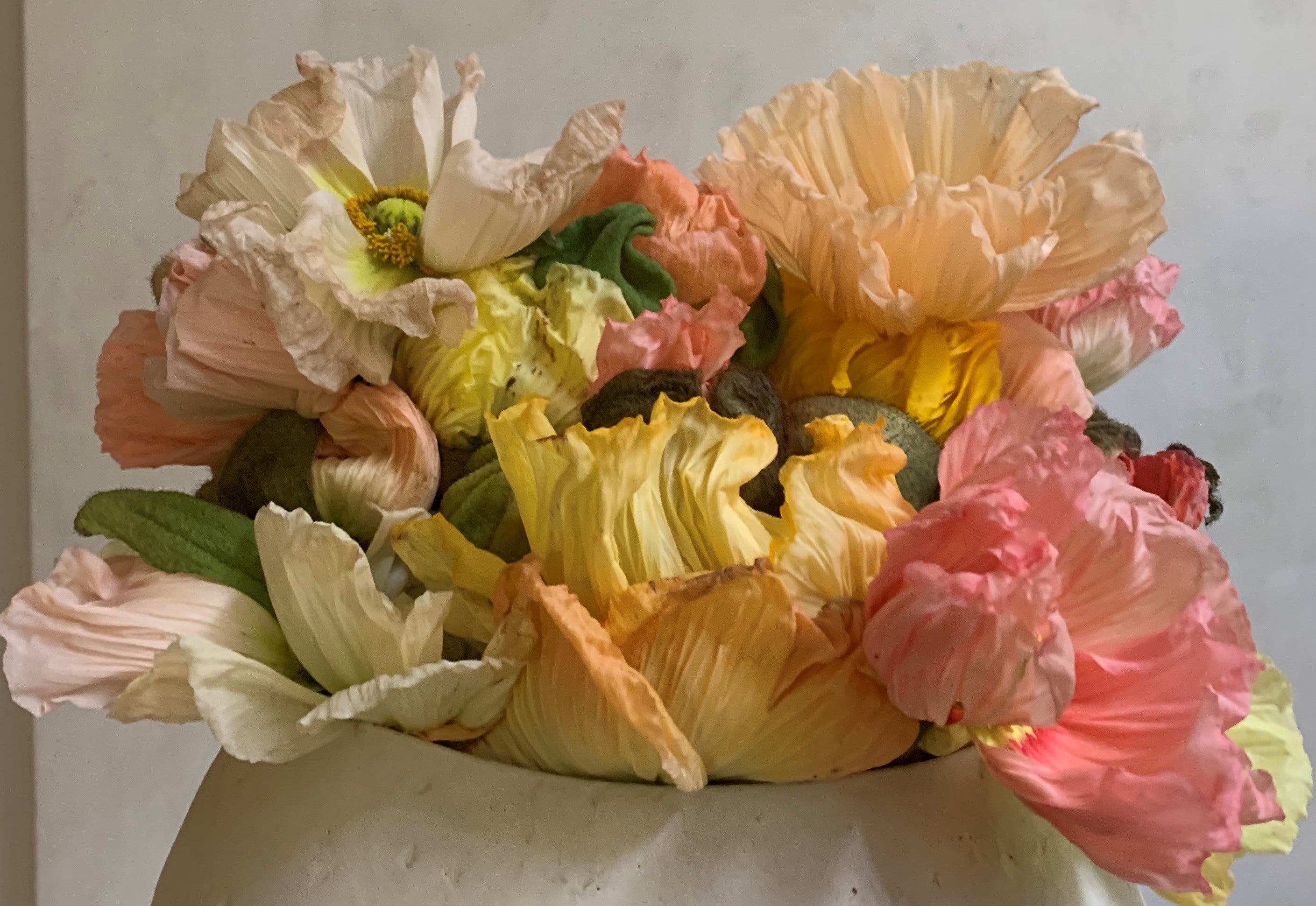 Jak módě vzplálo srdce pro islandské máky | Vogue CS