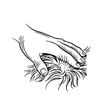 Advantage®II Topical Flea Treatment for Dogs