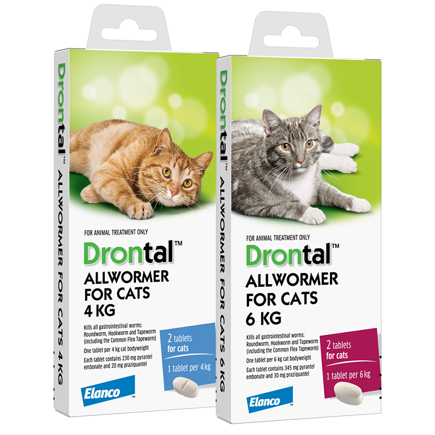 Pet Health Care Products | MyPetandI | NZ
