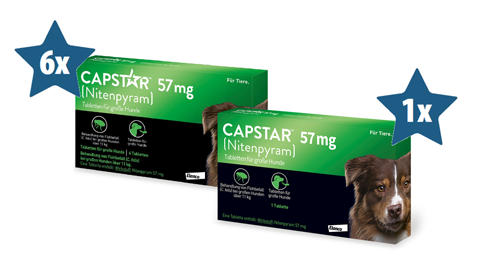Capstar® Akutbehandlung gegen Flöhe bei Hunden und Katzen | Offizielle ...