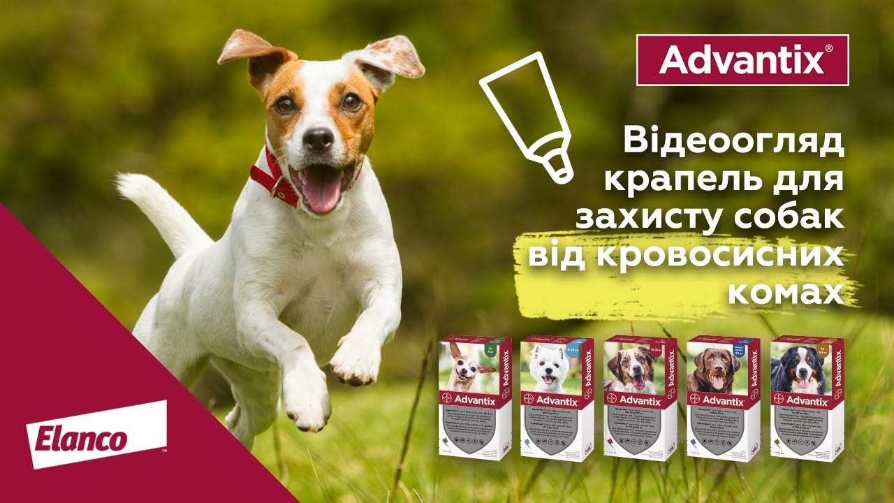Адвантікс® для собак від кліщів, бліх, волосоїдів, комарів | Мій ...