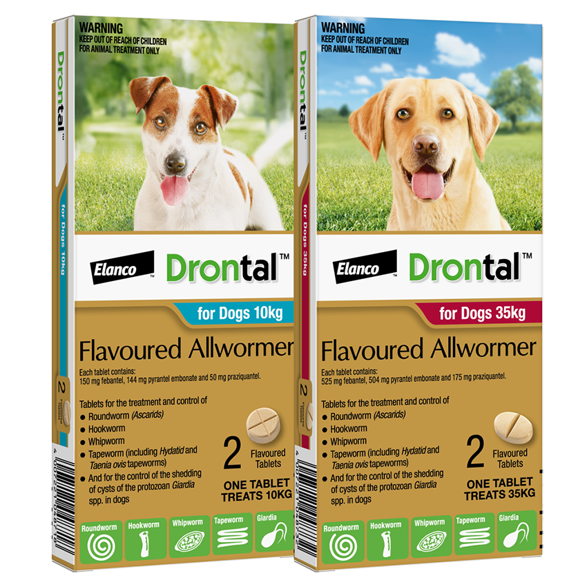 Pet Health Care Products | MyPetandI | NZ