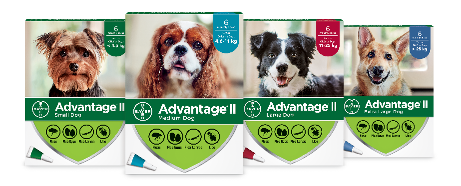 Advantage®II Topical Flea Treatment for Dogs