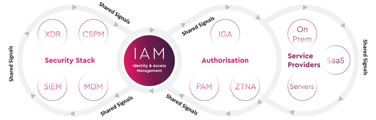 Distology Studios - Engineering with Identity
