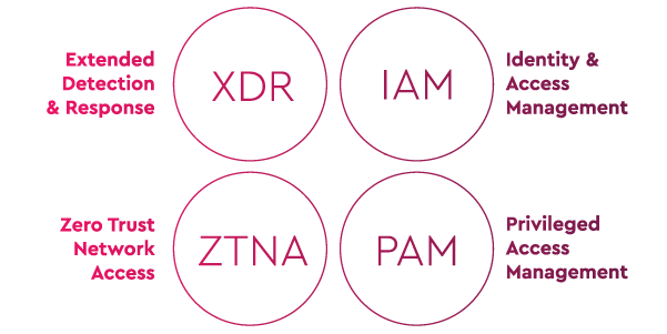 Distology Studios - Engineering with Identity