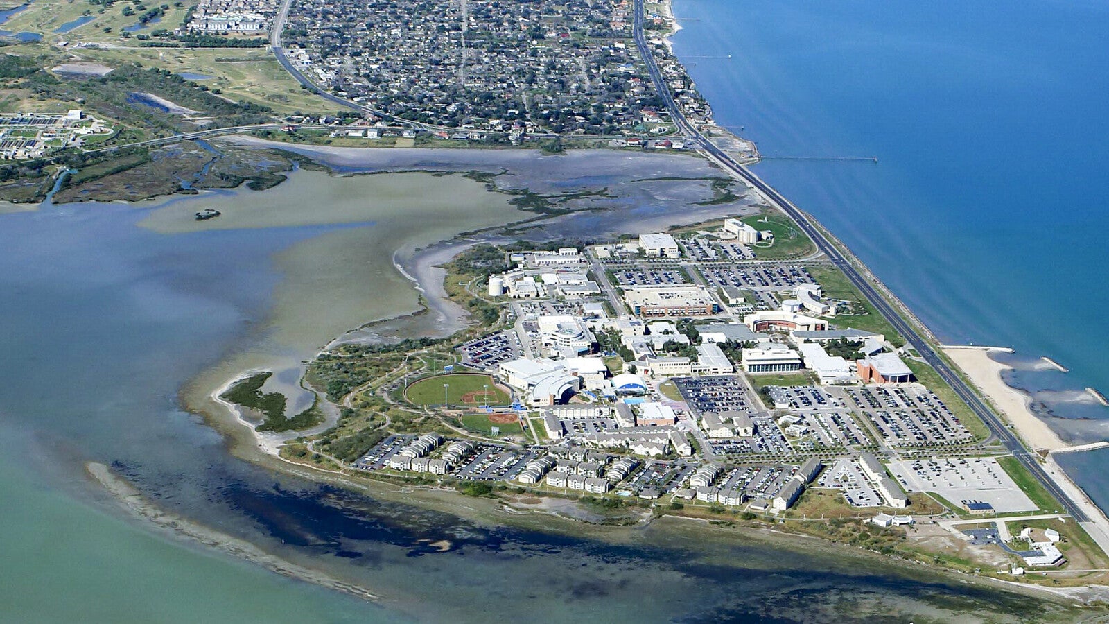 Student & Campus Life | TAMU-CC