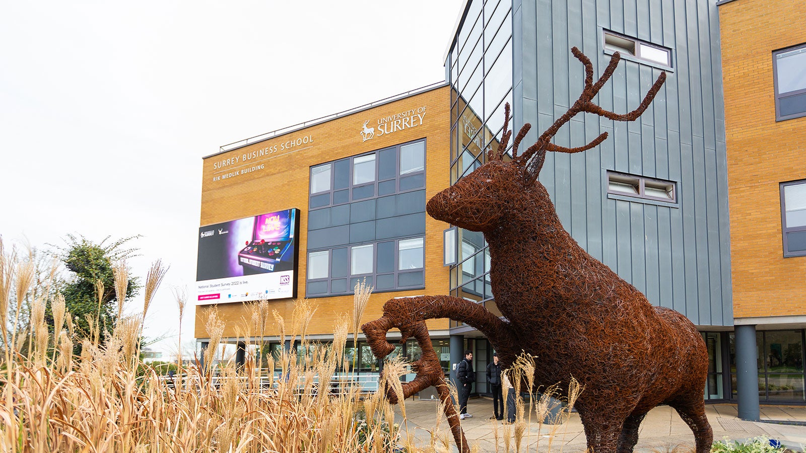 About the University | University of Surrey International Study Centre